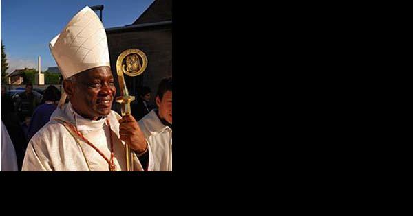Cardinal Turkson to Address Environmental Issues | Center for African ...